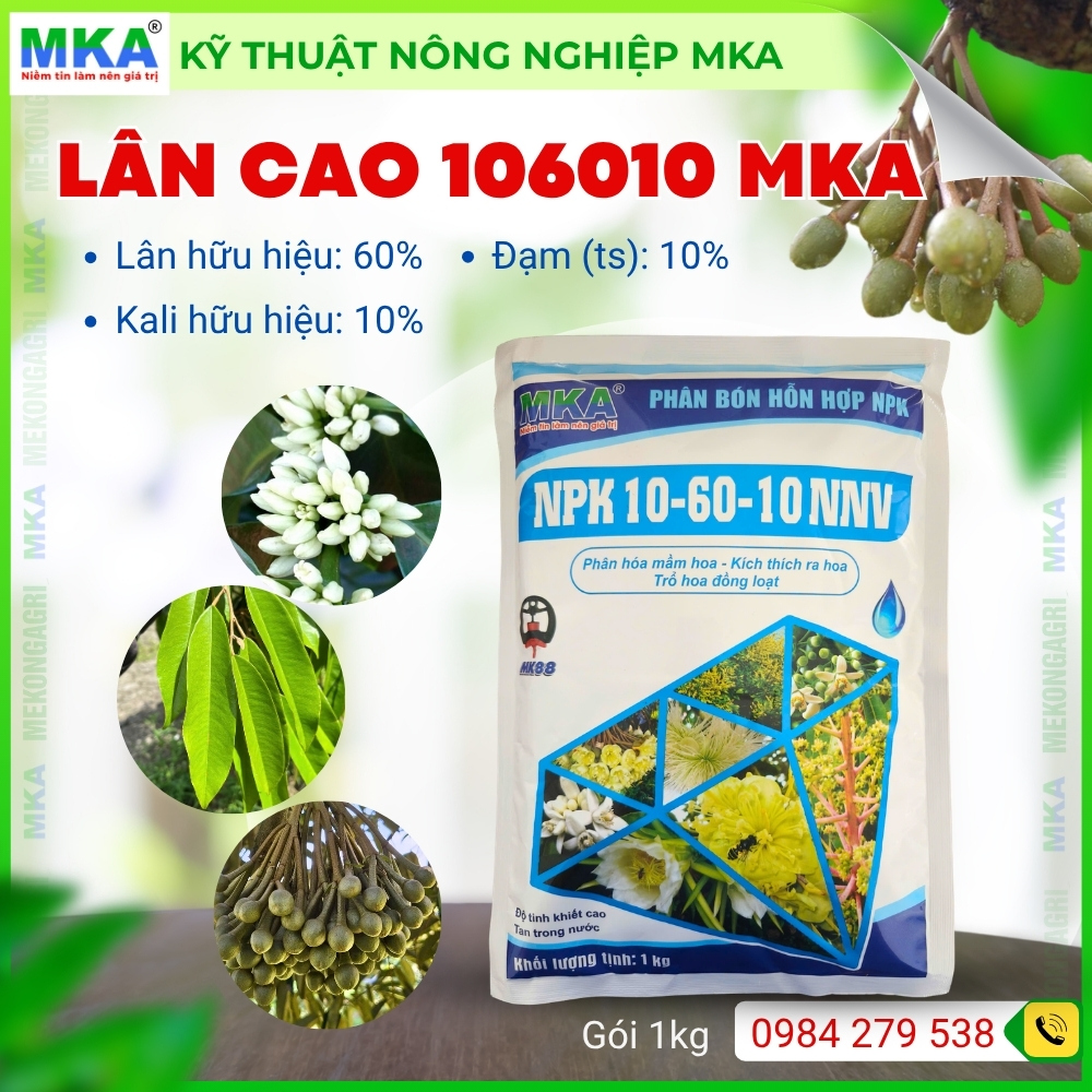 Lân cao tạo mầm 10-60-10 MKA