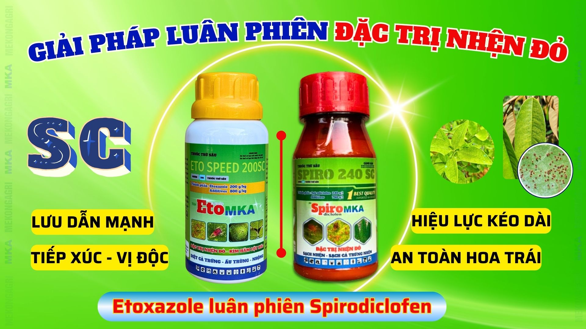Phối thuốc quản lý nhện đỏ hiệu quả